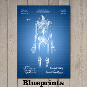 Anatomical Skeleton Patent Print Art 1911 - Etsy