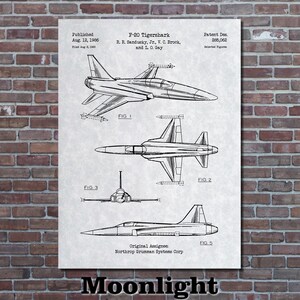 F-20 Tigershark Jet Patent Print Art 1986 - Etsy