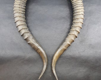 Corne de cerf | Etsy