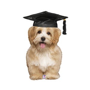 32" Graduation Dog Balloon - Graduation Party Decoration, Graduation ...