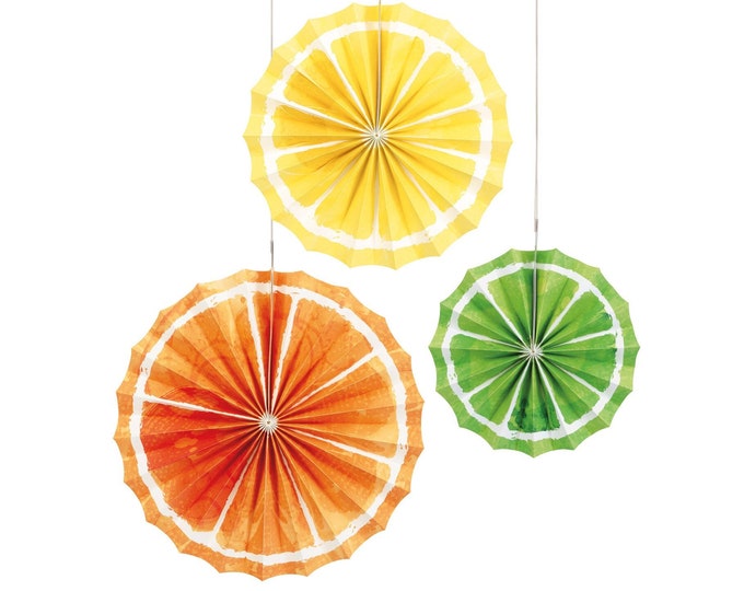 Citrus Paper Fans - Fruit Party Decorations, Fruit Bridal Shower, Party ...