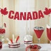 Happy Canada Day Cake Topper, Canada Day Decorations, Canadian Pride ...