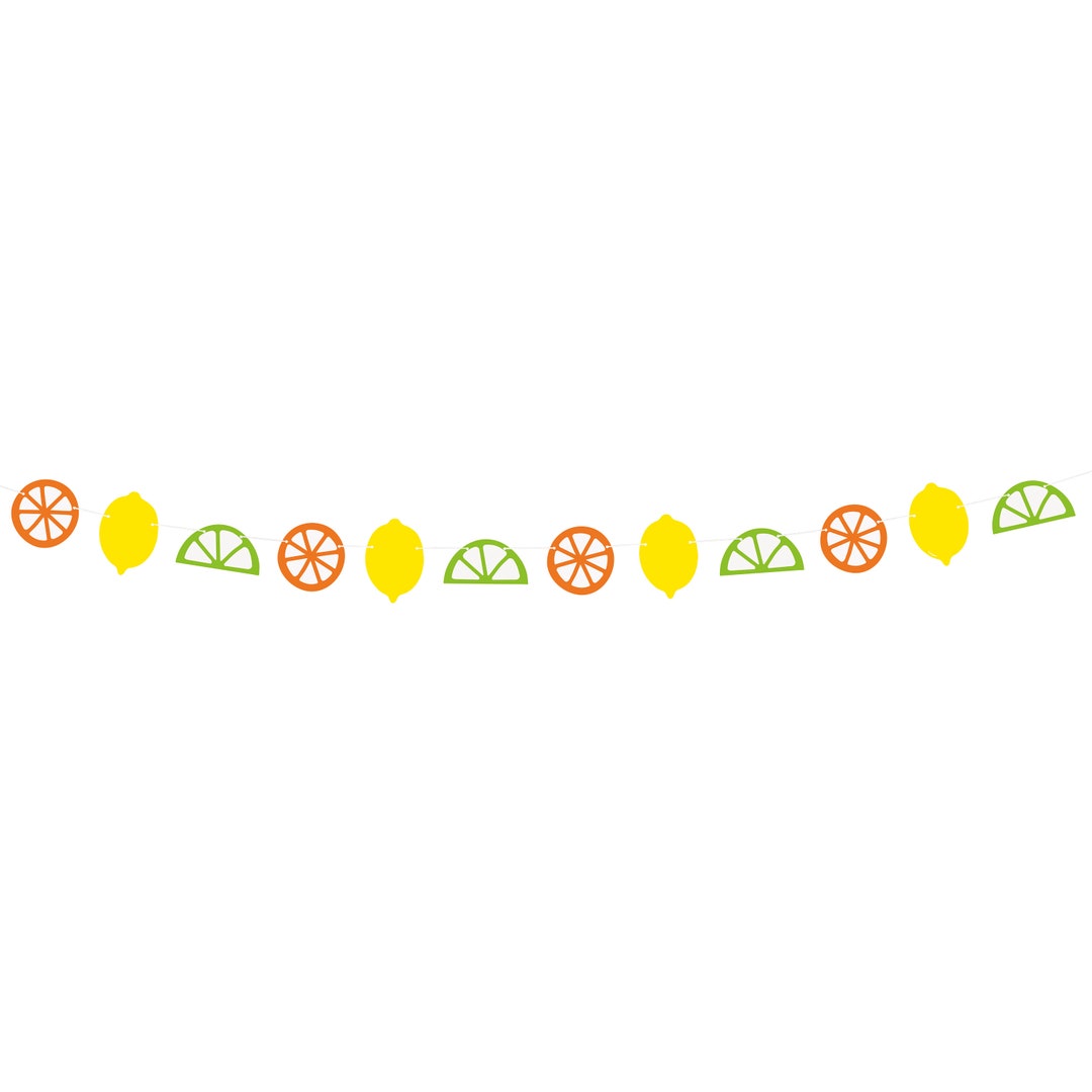 Fruit Party Banner - Citrus Birthday Banner, Fruit Party Supplies ...