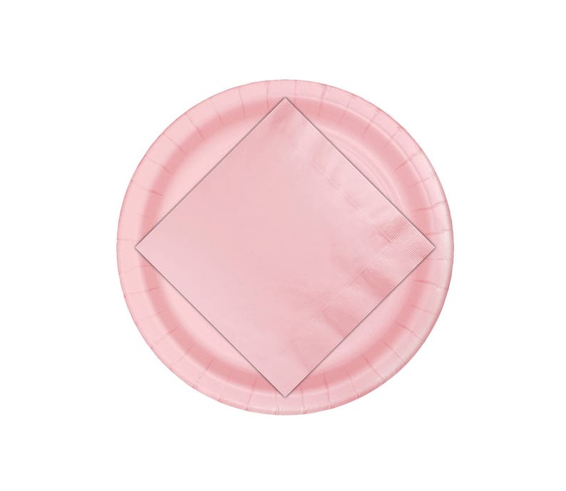 7 Pink Plates Party Plates Pink Party Supplies | Etsy