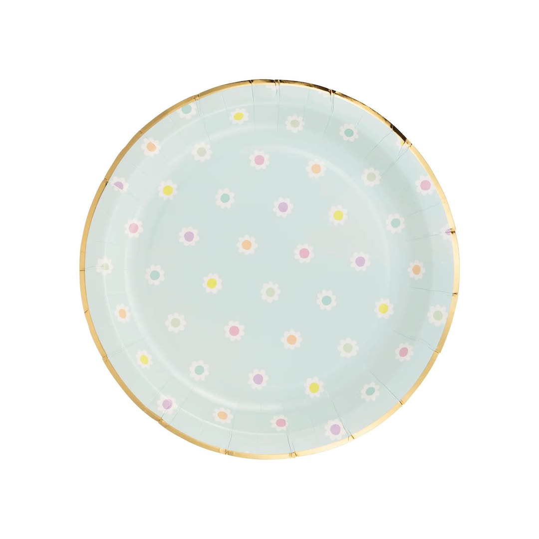 Daisy Plates, Flower Plates, Paper Plates, Groovy Party, Retro Party ...