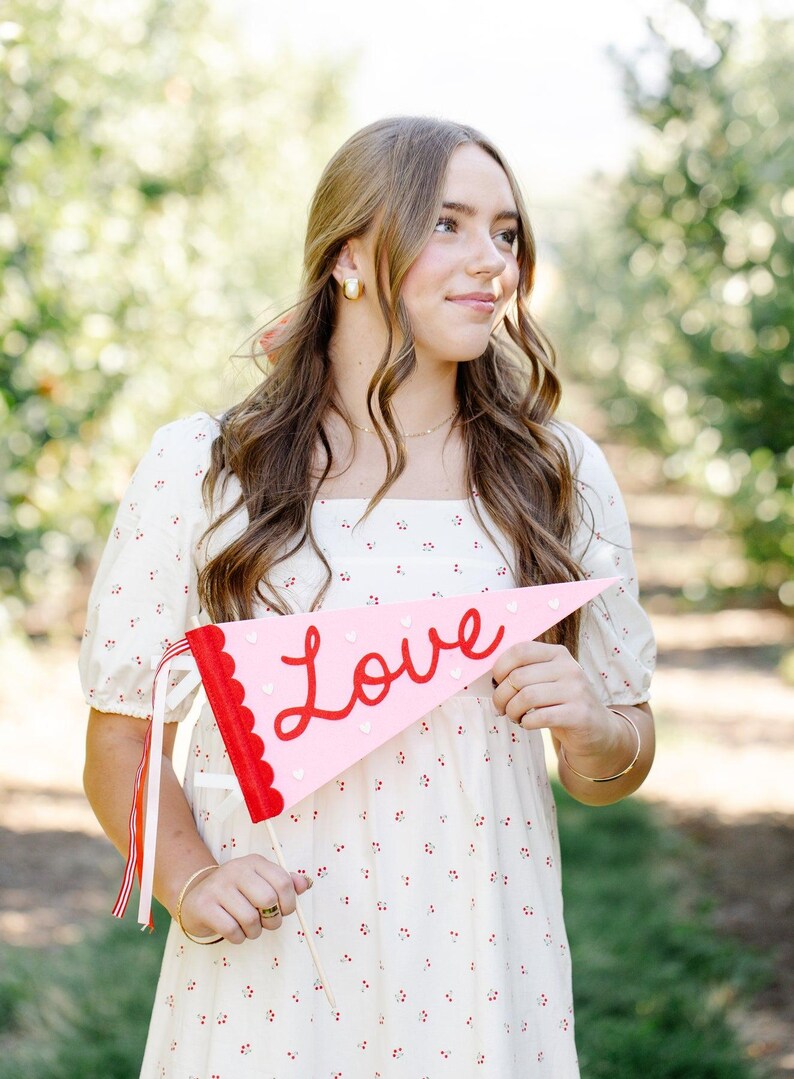Love Felt Pennant Banner With Dowel & Ribbon, Valentine Party Decor ...