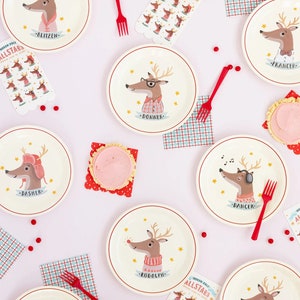 Rudolph Plates - Reindeer Plates, Reindeer Party Supplies, Rudolph ...