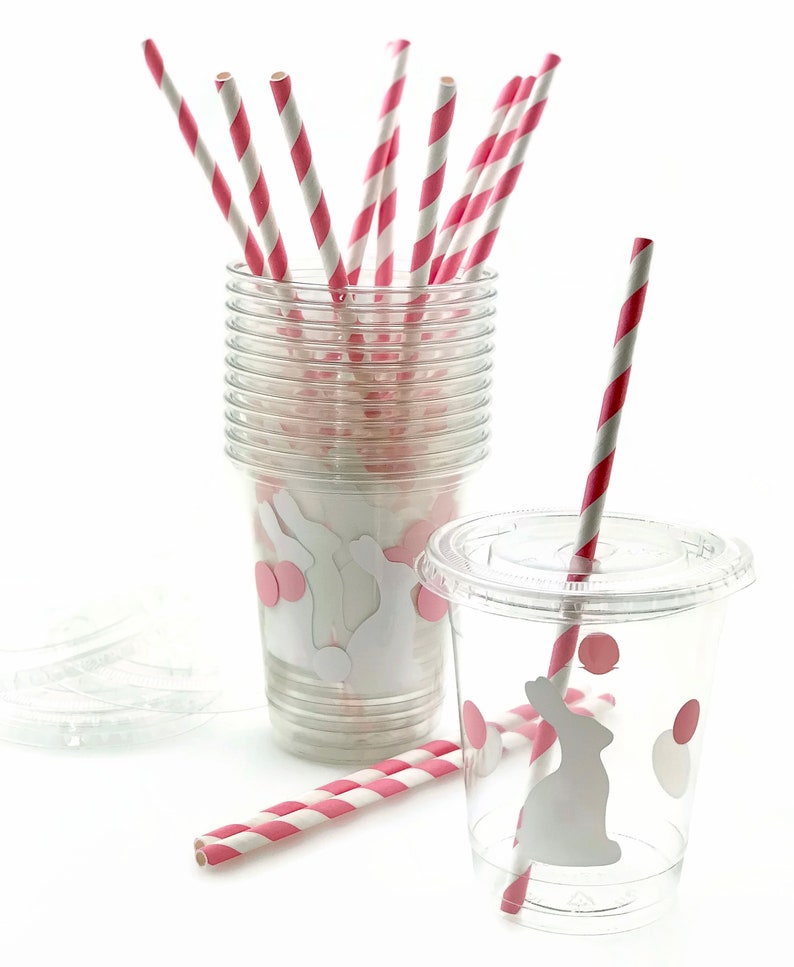 Bunny Cups Bunny Birthday Rabbit Party Bunny Party | Etsy