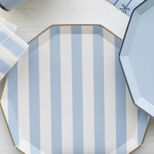 Blue Striped Party Plates - Something Blue Bridal Shower, Boy Baby ...