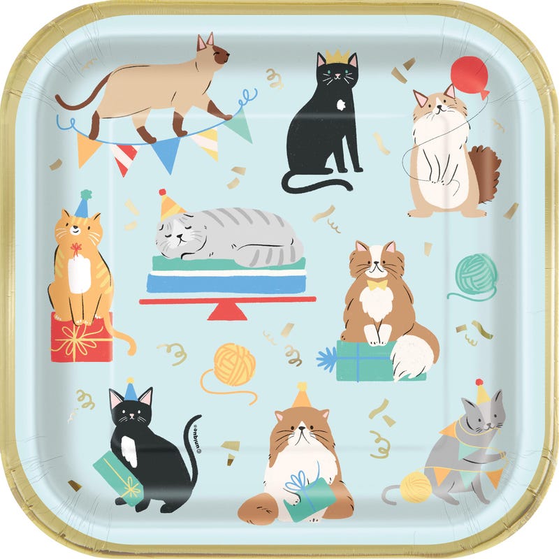 Cat Dinner Set for Kids - Etsy