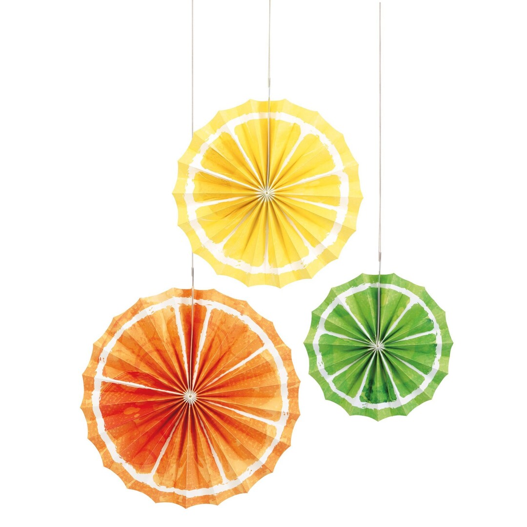 Citrus Paper Fans - Fruit Party Decorations, Fruit Bridal Shower, Party ...