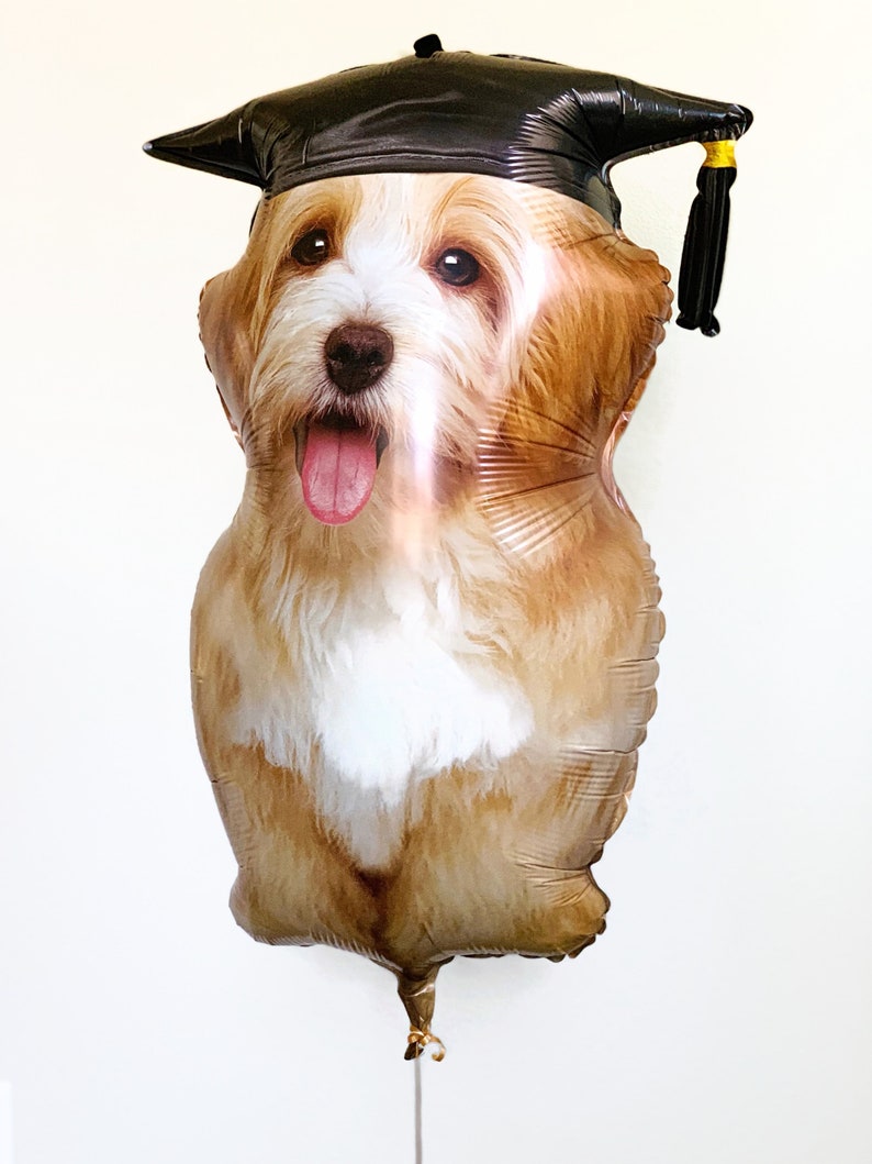 32" Graduation Dog Balloon - Graduation Party Decoration, Graduation ...