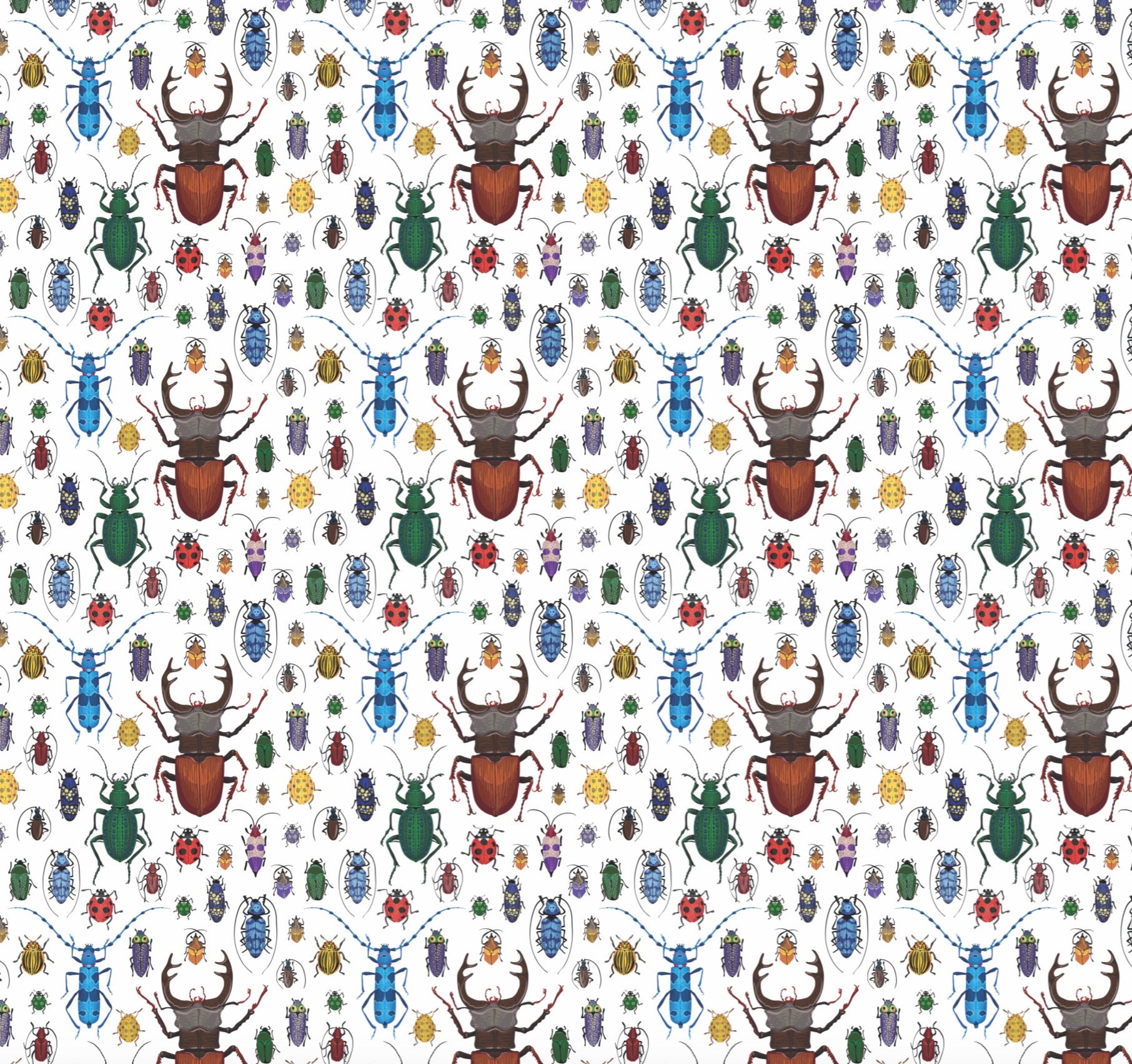 Insect Gift Wrap Bug Wrapping Paper Garden Gift Wrap Bug | Etsy