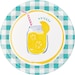 Lemonade Party Plates Pink Lemonade Party, Citrus Party Plates, Picnic ...