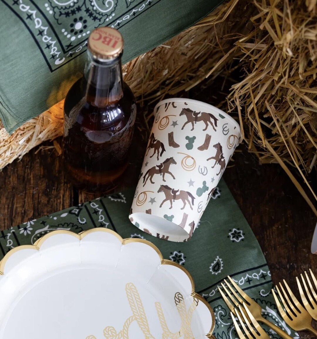 Howdy Party Cups - Western Birthday Cups, Horse Party Supplies, First ...