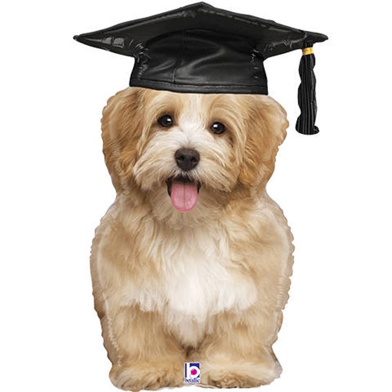 32" Graduation Dog Balloon - Graduation Party Decoration, Graduation ...