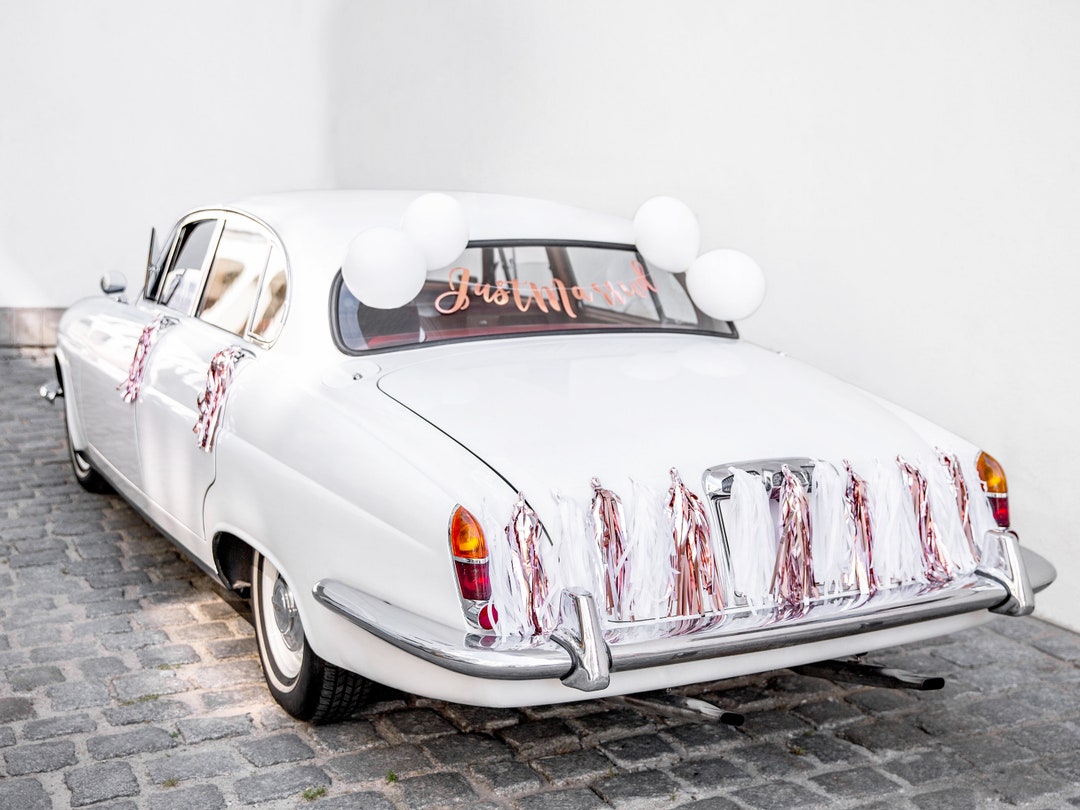 Just Married Car Accessories - Wedding Car Send Off, Honeymoon Car ...