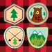 Lumberjack Party Luncheon Napkins Lumberjack Birthday Party Supplies ...