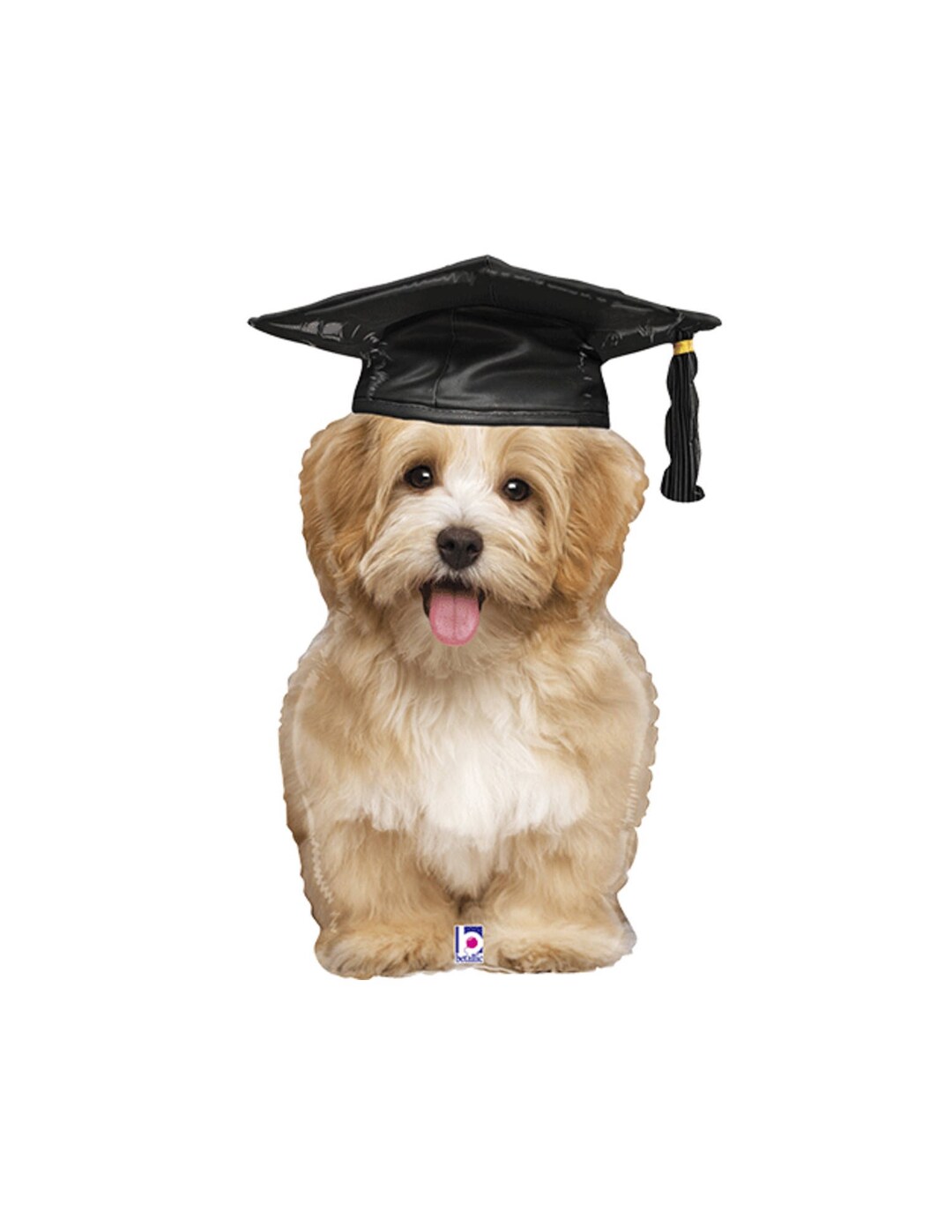 32" Graduation Dog Balloon - Graduation Party Decoration, Graduation ...