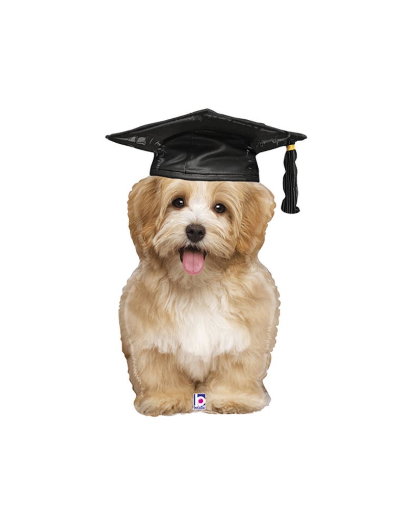 32" Graduation Dog Balloon - Graduation Party Decoration, Graduation ...