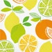 Citrus Party Supplies Fruit Birthday Decorations Fruit - Etsy