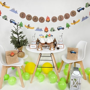 Explorer Cupcake Decorating Kit - Adventure Birthday Decorations ...