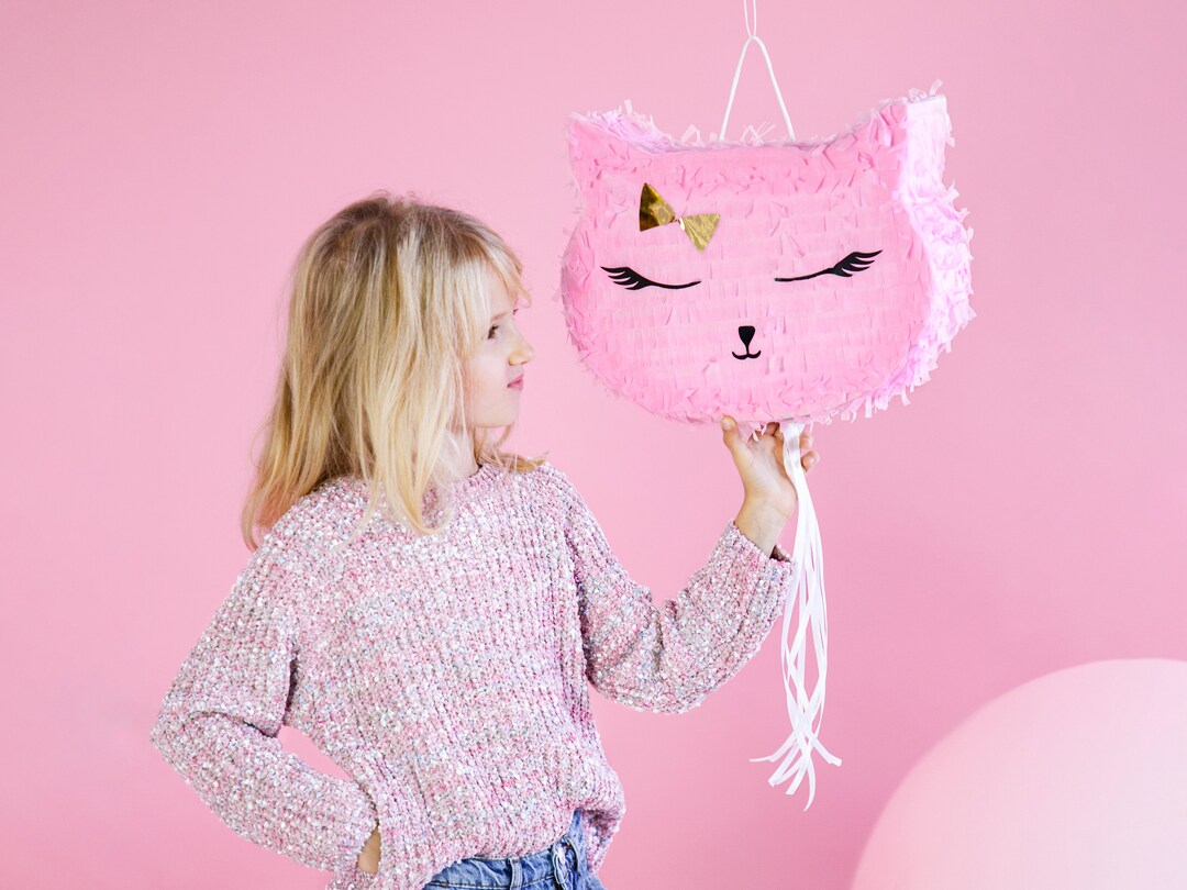 Cat Party Piñata - Cat Birthday Decorations, Kitty Party Supplies ...