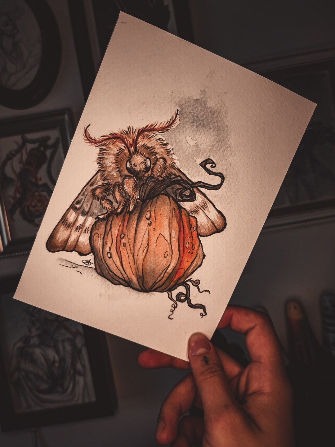 The Moth and the Pumpkin Wall Art A5 A4 Illustration on - Etsy