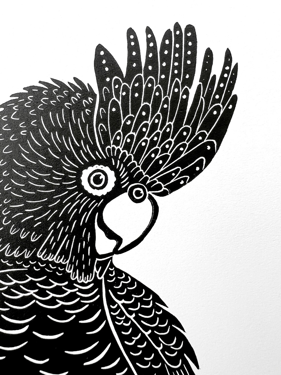 BLACK COCKATOO | Nature Print | Gallery Wall | Australia | Bird Print ...