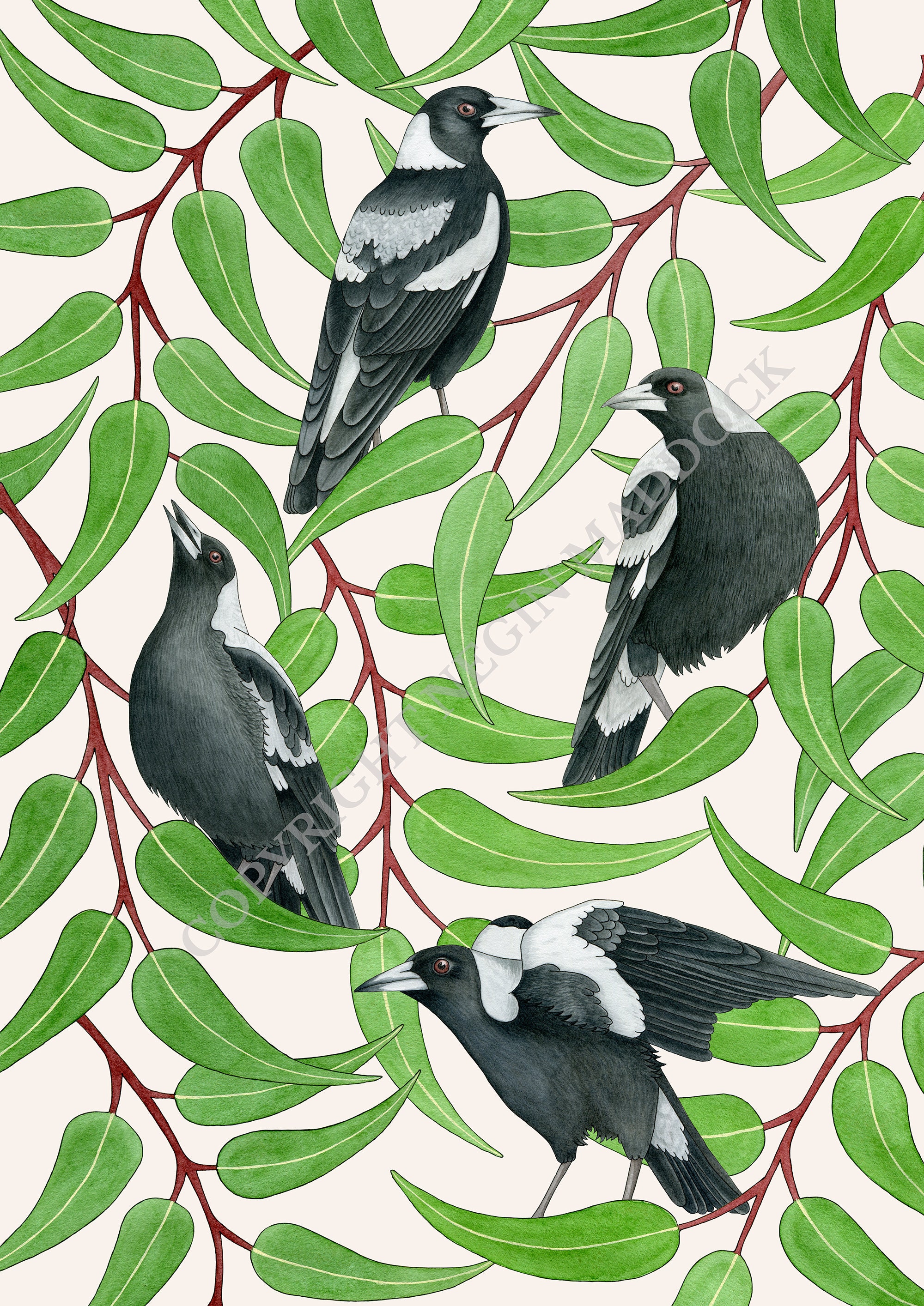 Art Print - WARBLING MAGPIES — Negin Designs