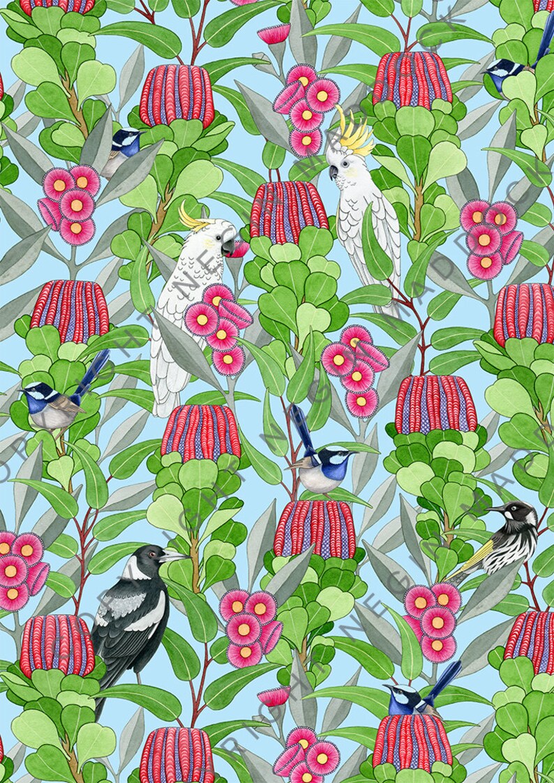 Art Print Australian Native Birds Gum Leaves Botanical | Etsy