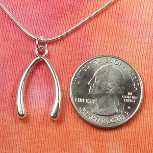 Wishbone Necklace Pick 16-36" Long Chain, Jewelry for Men or Women Gift ...