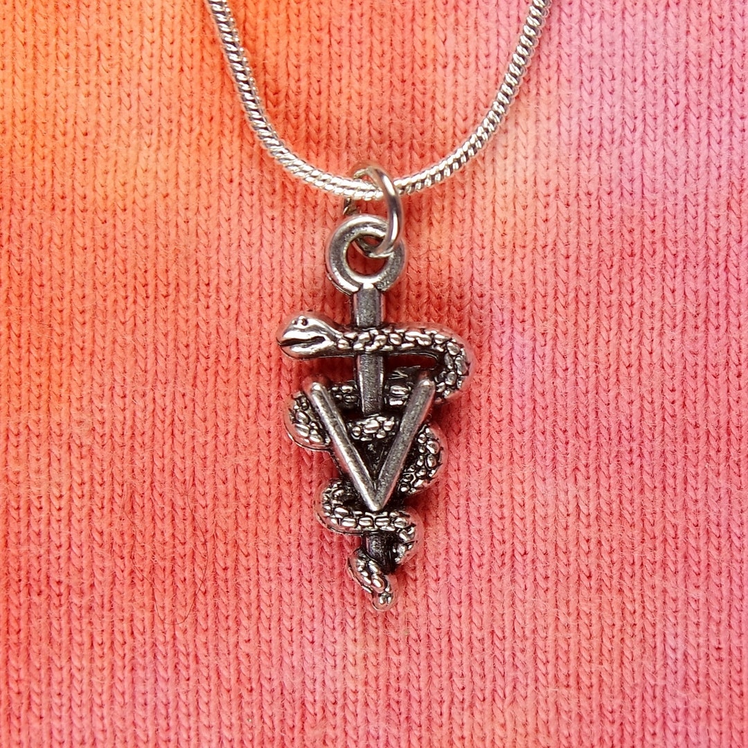 Veterinarian Necklace, V on Rod of Asclepius, Veterinary Symbol Animal ...