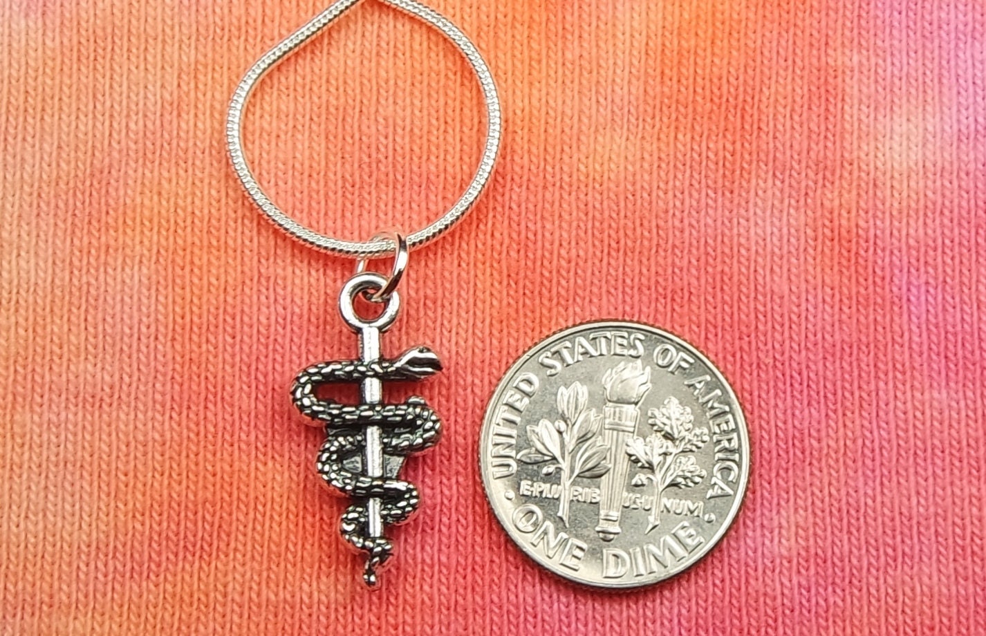 VT Vet Tech Necklace, Rod of Asclepius Caduceus Veterinary Technician ...