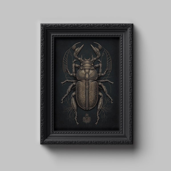 Beetle Art - Etsy