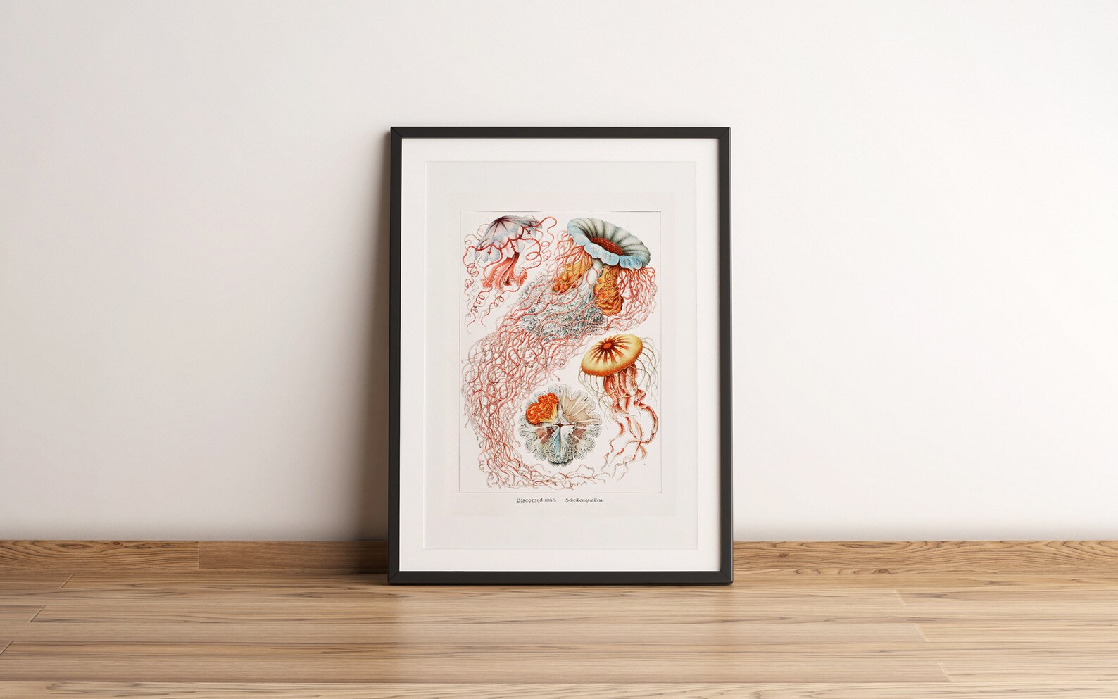 Vintage Jellyfish Poster Ocean Life Poster Ocean Wall Art - Etsy