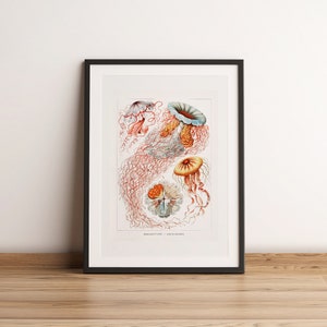 Vintage Jellyfish Poster Ocean Life Poster Ocean Wall Art - Etsy
