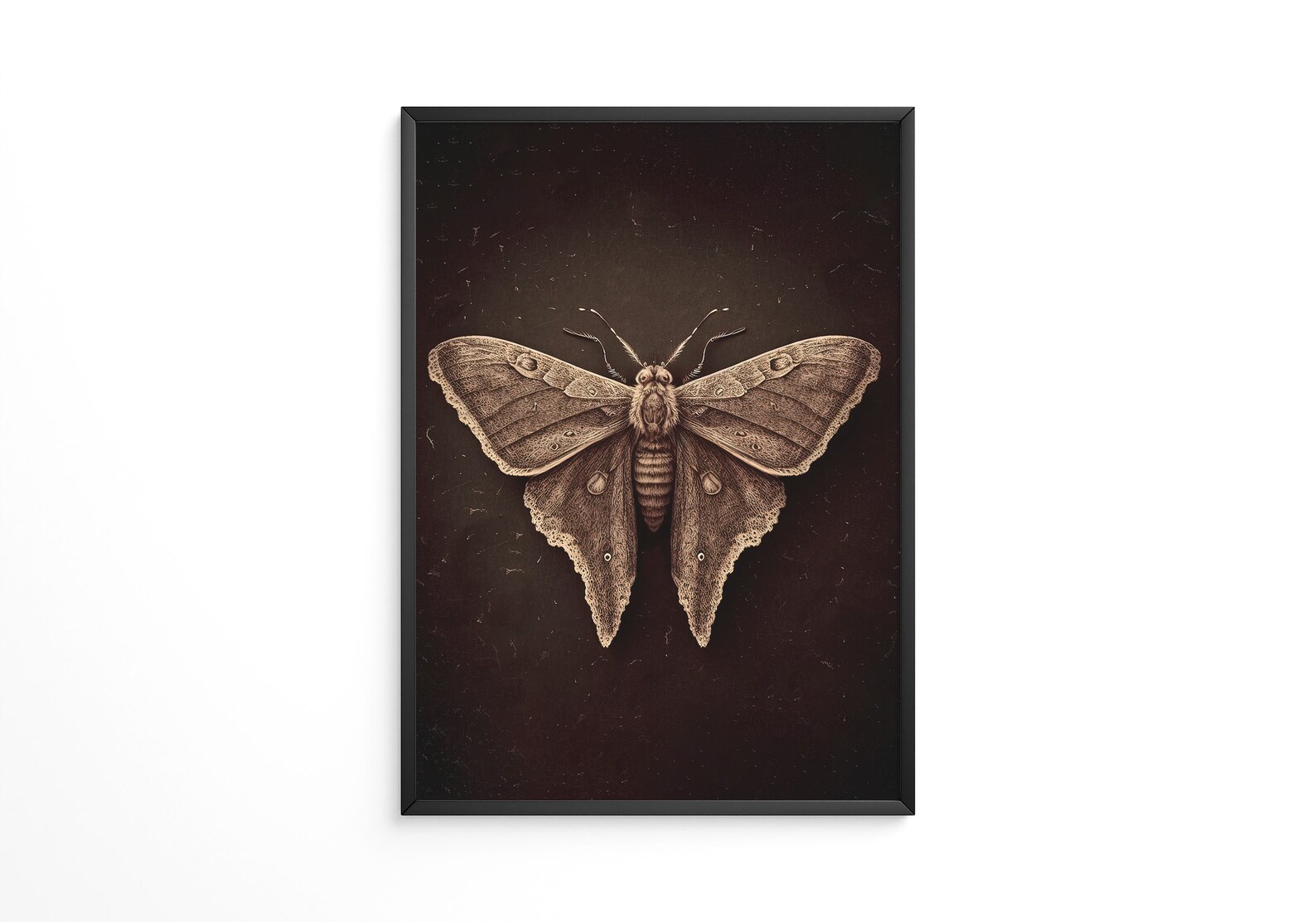 Vintage Moth Poster Moth Poster Gothic Poster Gothic Moth - Etsy