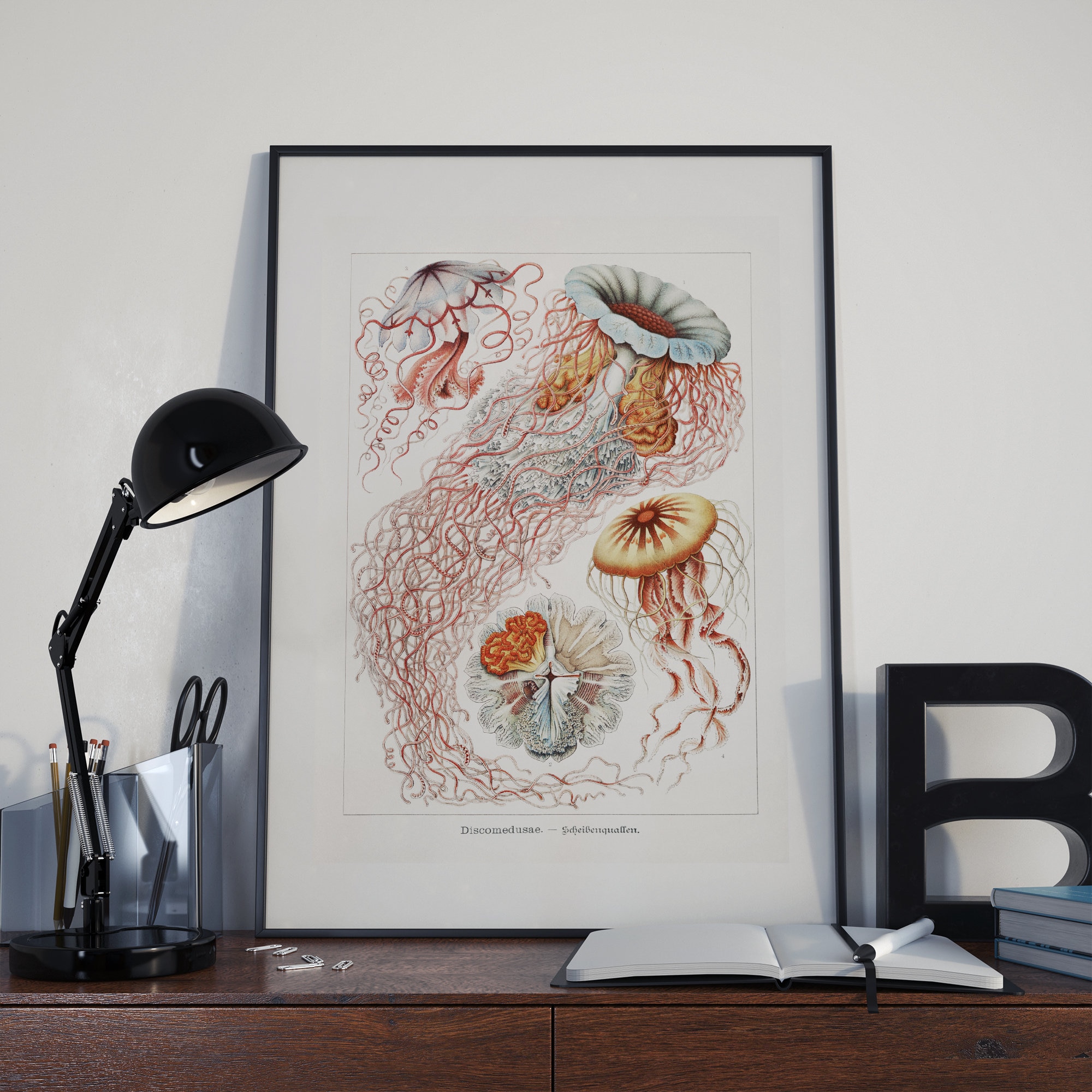 Vintage Jellyfish Poster Ocean Life Poster Ocean Wall Art - Etsy
