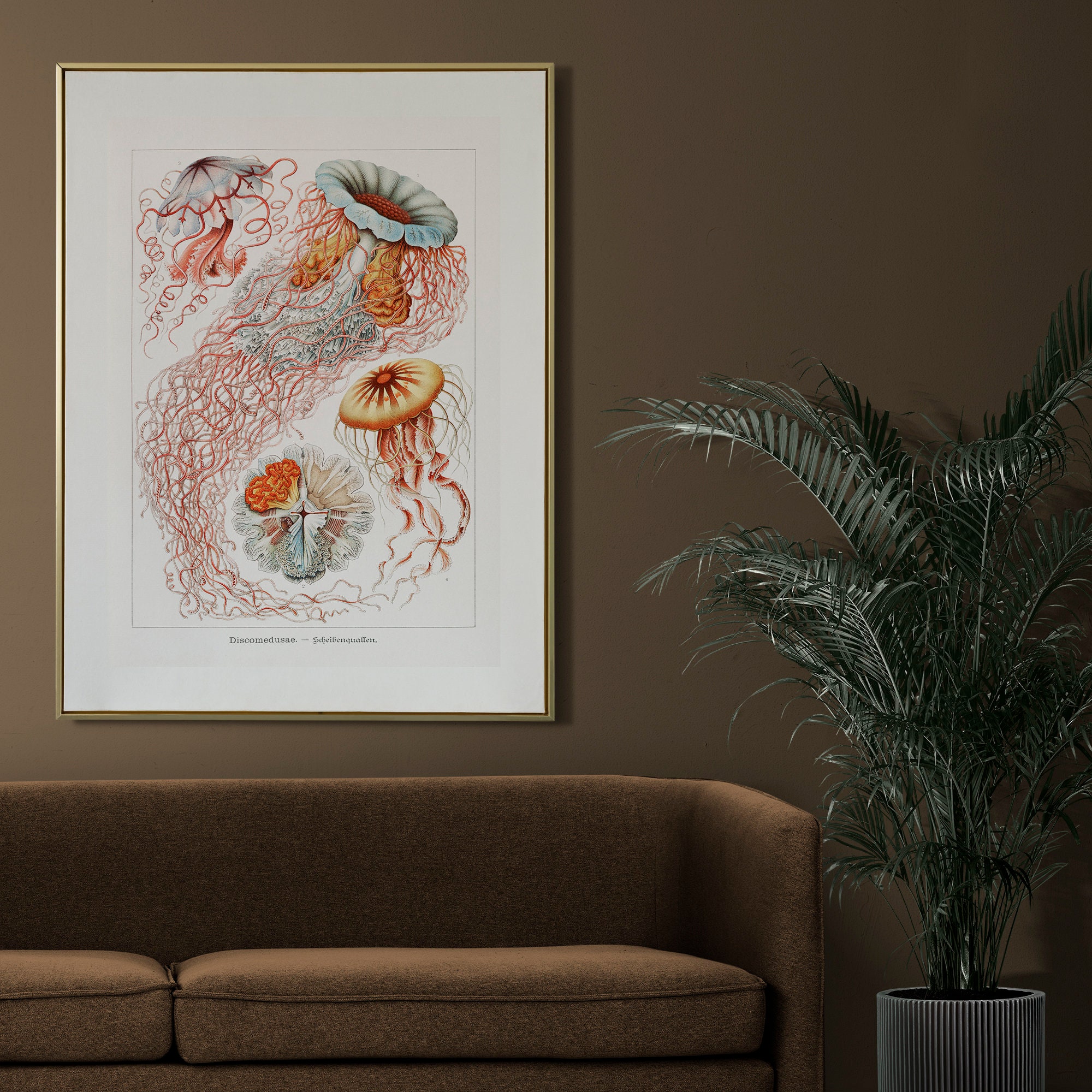 Vintage Jellyfish Poster Ocean Life Poster Ocean Wall Art - Etsy