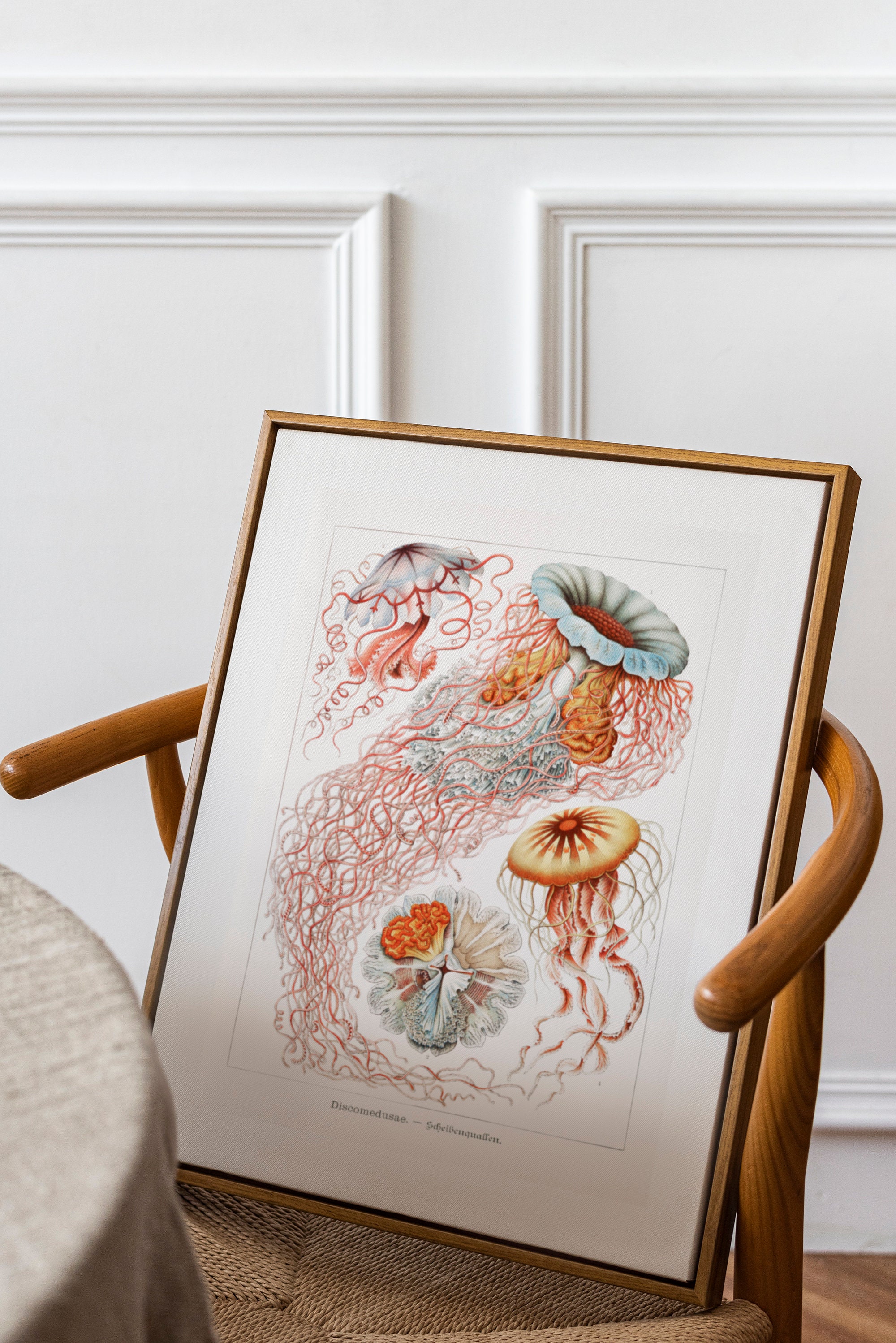 Vintage Jellyfish Poster Ocean Life Poster Ocean Wall Art - Etsy