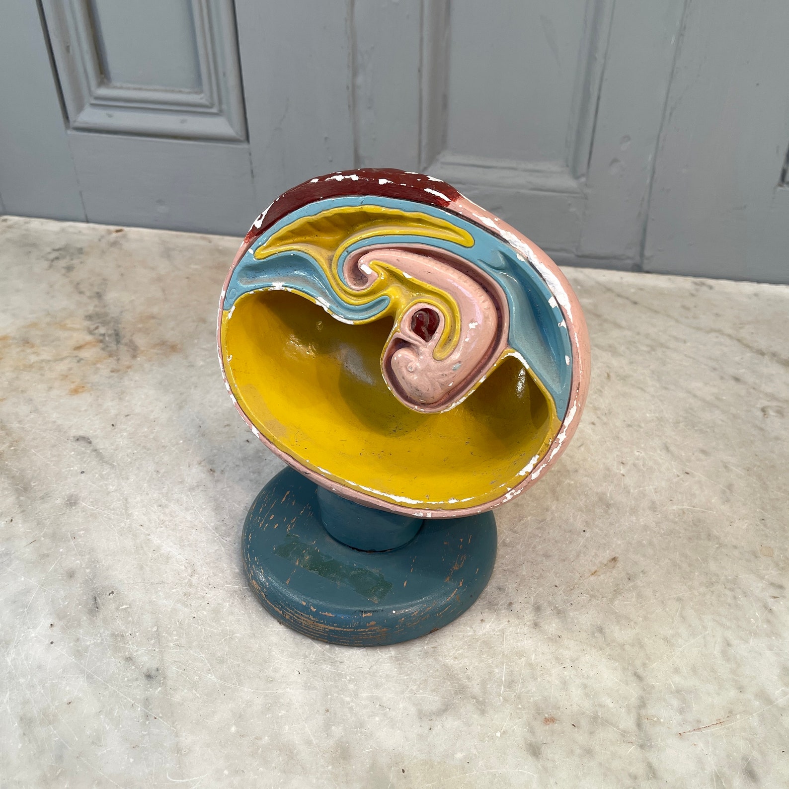 Vintage Biological Specimen Plaster Display Model of an Embryo on ...