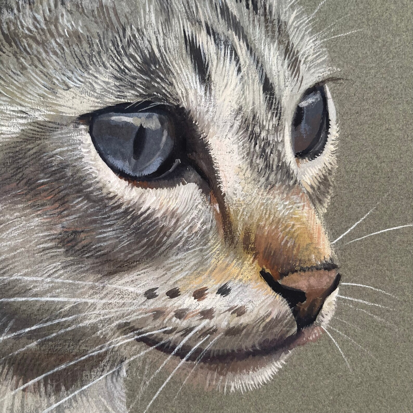 Antique Watercolour Portrait of a Cat Signed K Nixon | Etsy