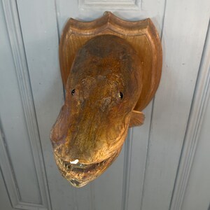 Large Antique Vintage Mounted Pikes Fish Head - Etsy