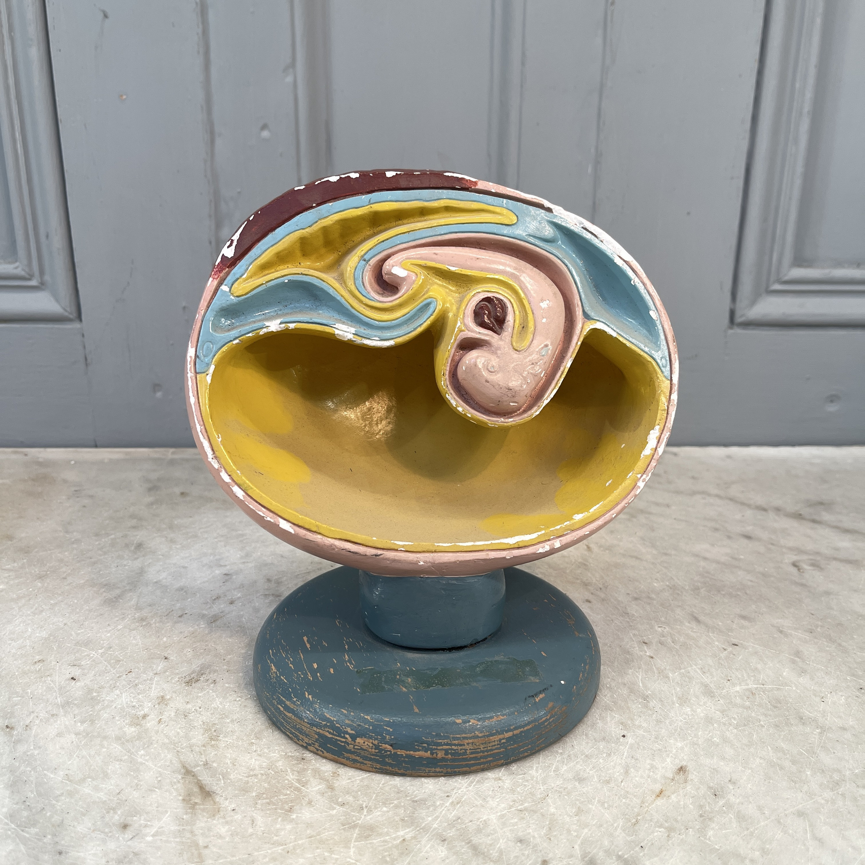 Vintage Biological Specimen Plaster Display Model of an Embryo on ...