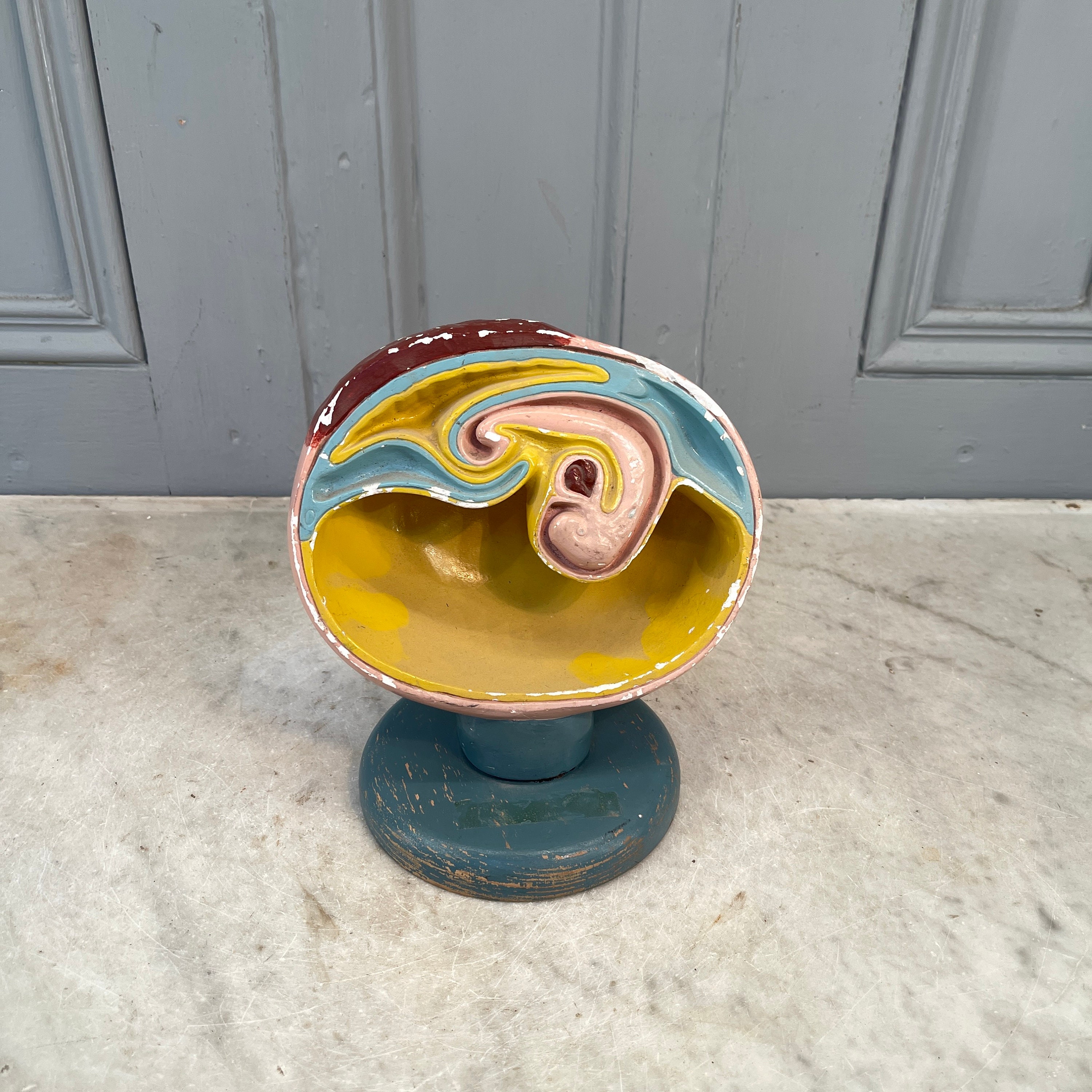 Vintage Biological Specimen Plaster Display Model of an Embryo on ...