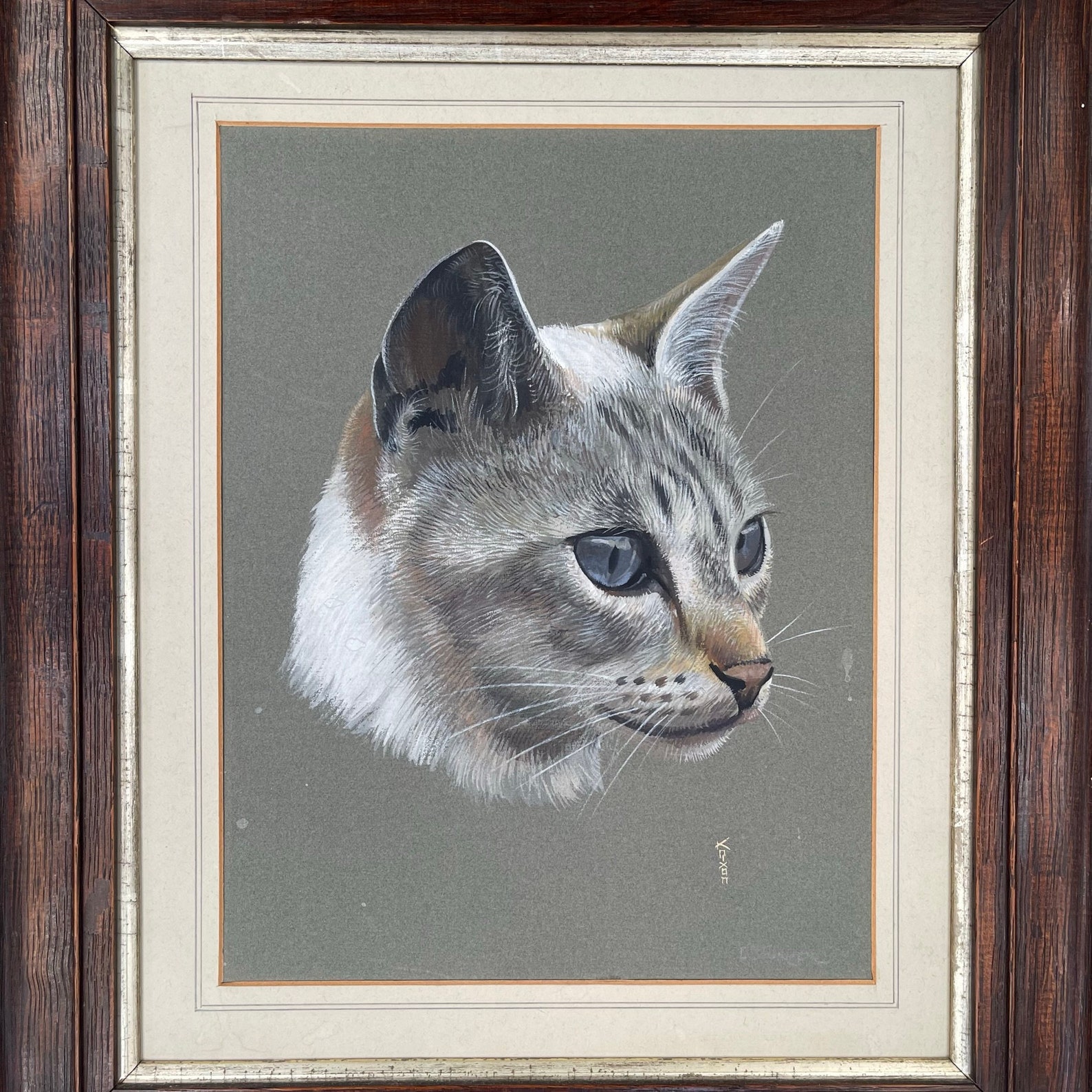 Antique Watercolour Portrait of a Cat Signed K Nixon | Etsy