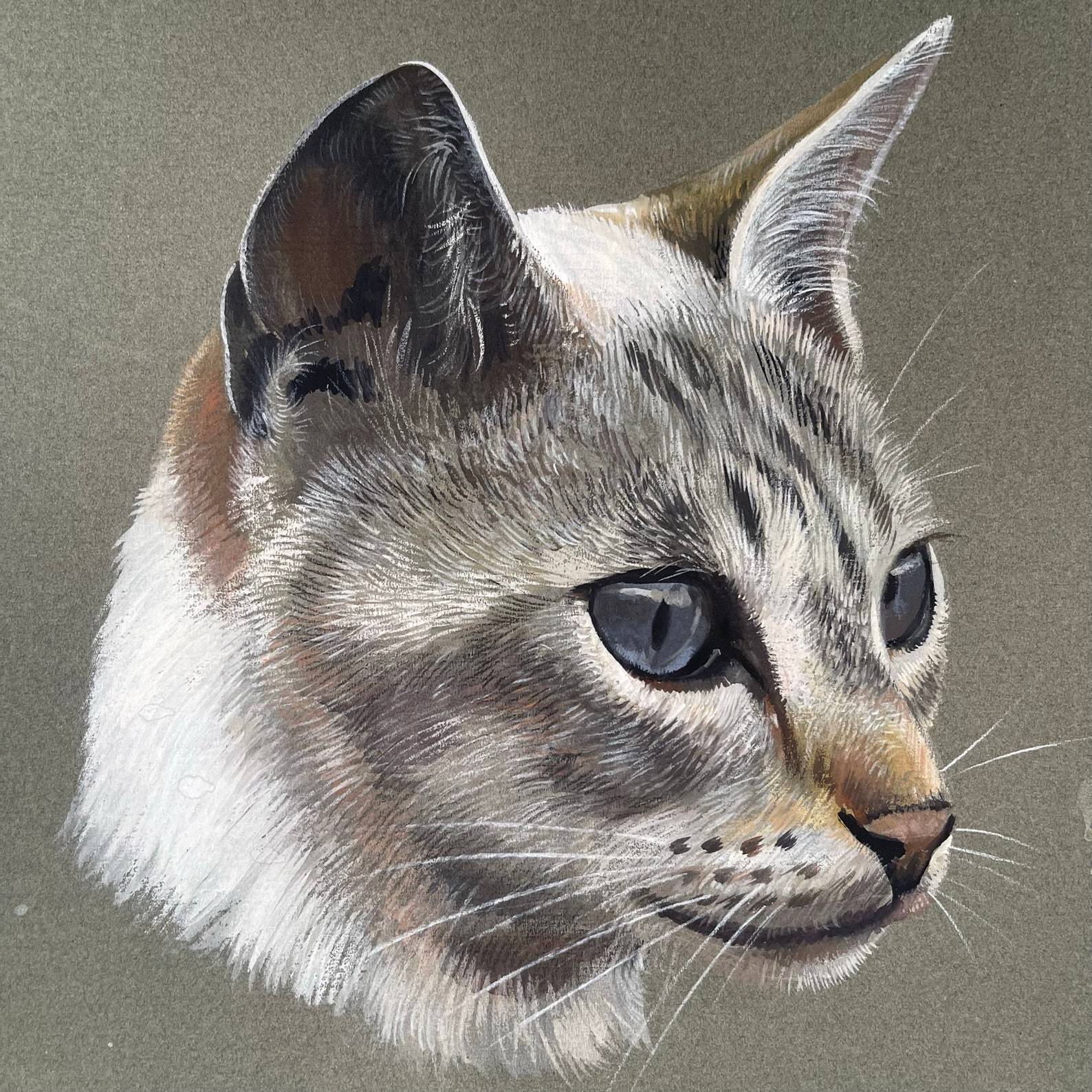 Antique Watercolour Portrait of a Cat Signed K Nixon | Etsy