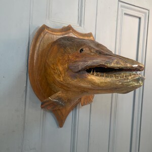 Large Antique Vintage Mounted Pikes Fish Head - Etsy