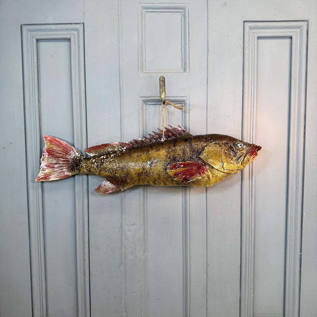 Vintage Dutch Fishmongers Shop Display Fish - Zander - Etsy